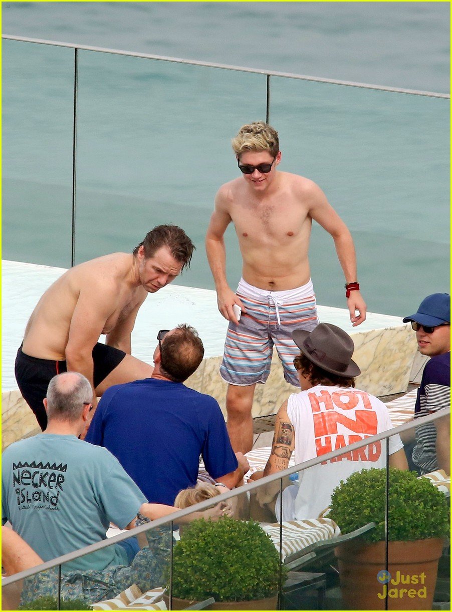 One Direction's Harry Styles & Niall Horan Relax & Go Shirtless in Rio ...