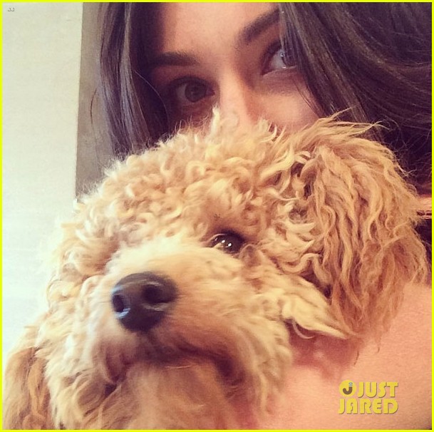 Who is Catherine Harding? Meet Jude Law's Pregnant Ex!: Photo 3220946 ...