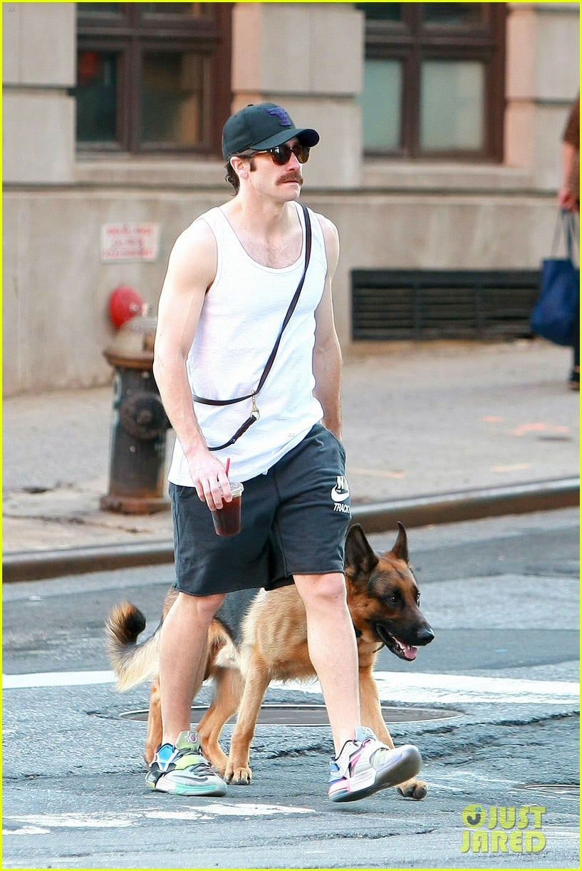 Jake Gyllenhaal Muscles