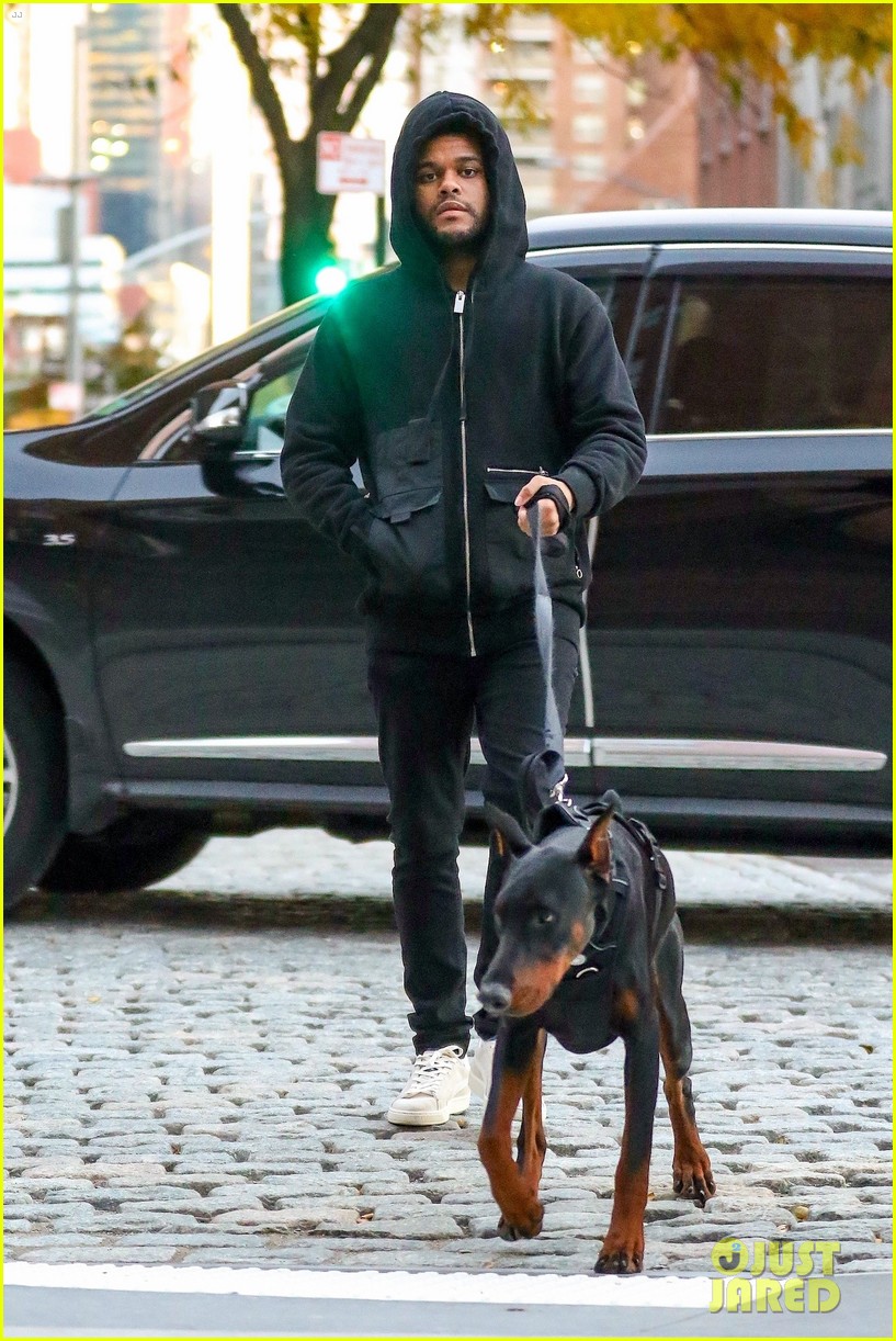 The Weeknd Bundles Up For Dog Walk In Cool NYC Weather: Photo 4175537 ...